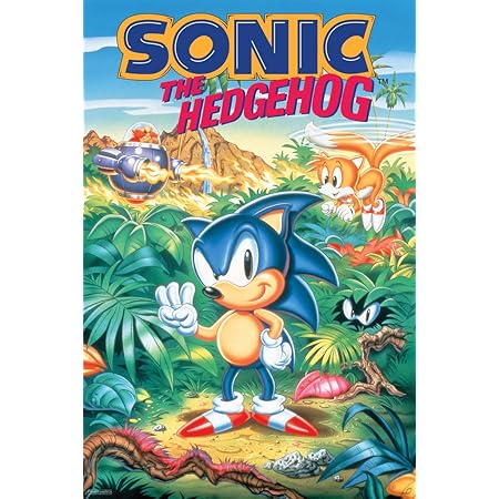 Amazon.com: Pyramid America Sonic 3 Wall Poster - Print with Protective ...