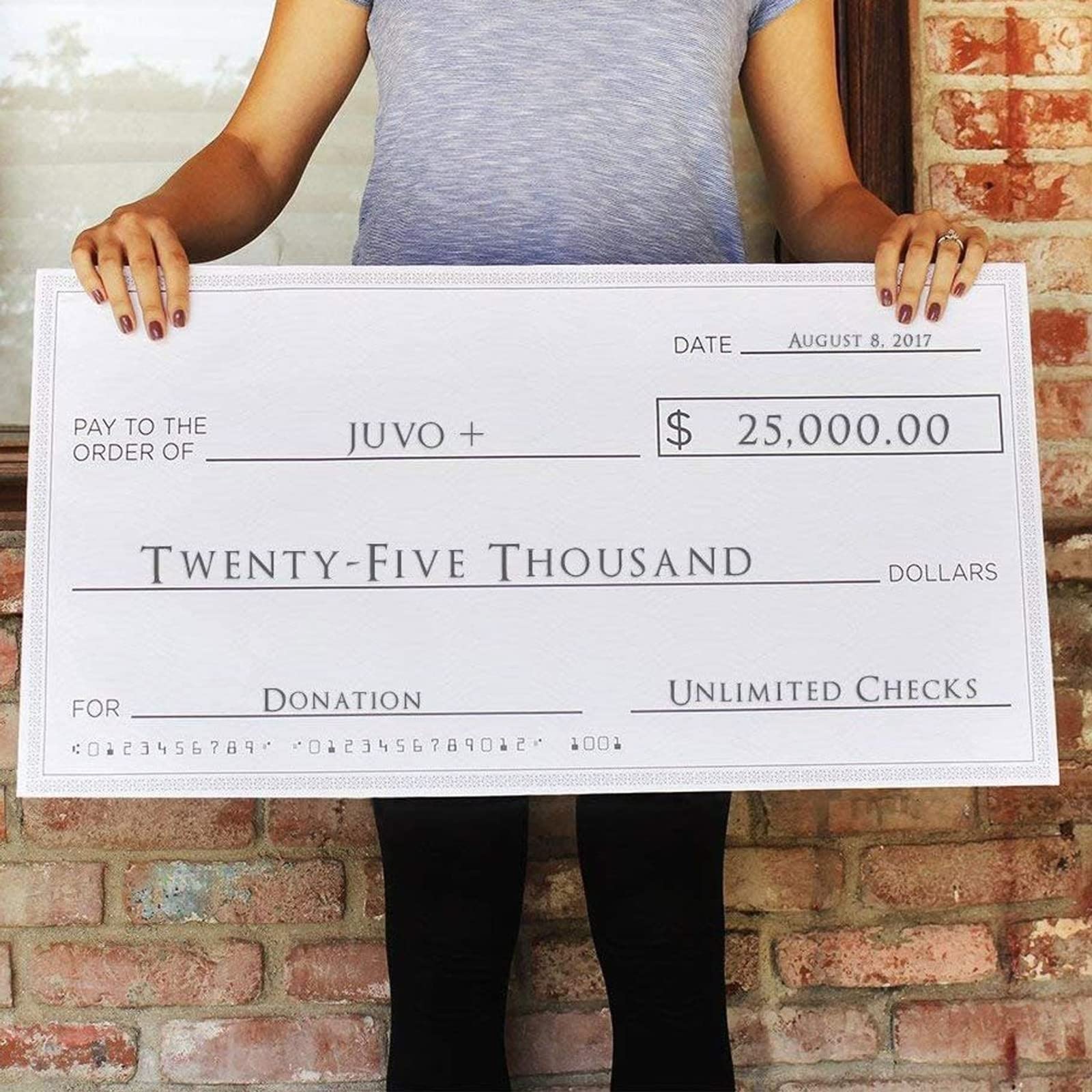 Snapklik.com : Sustainable Greetings Reusable Big Check For Presentation