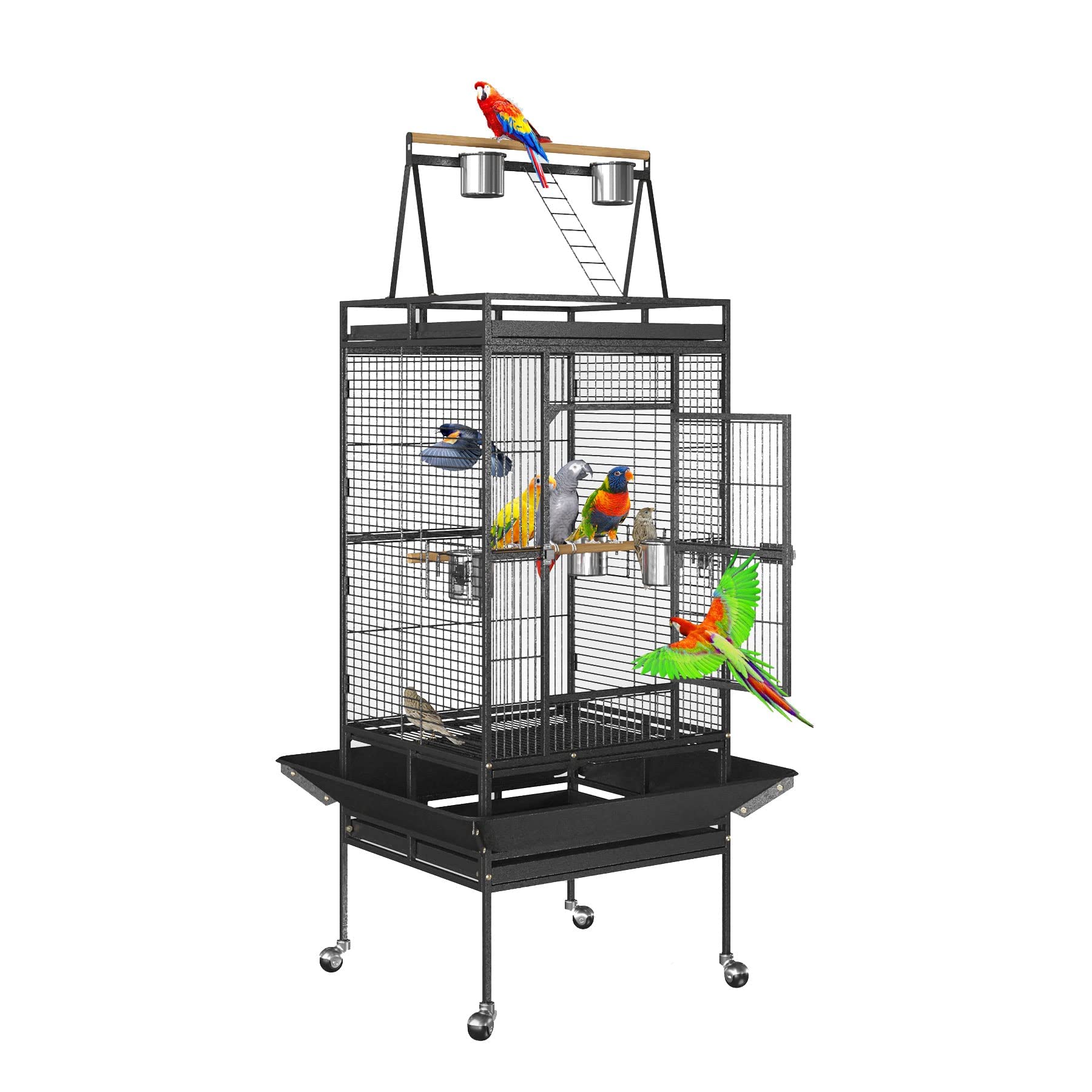 10 Best Affordable African Grey Parrot Bird Cages for Budget-Conscious ...