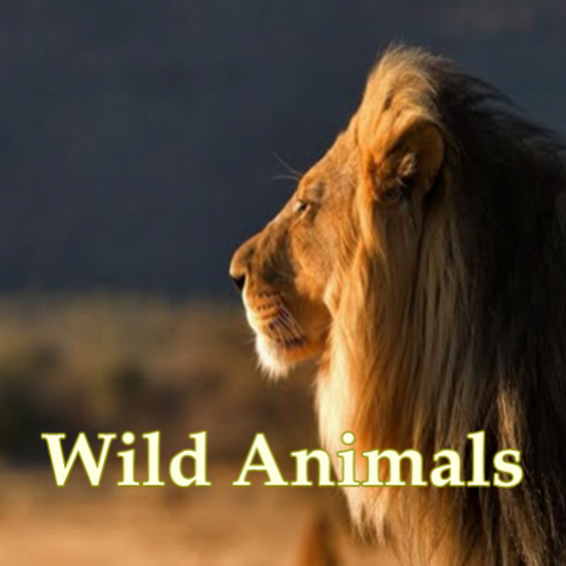 Wild Animals - App on Amazon Appstore
