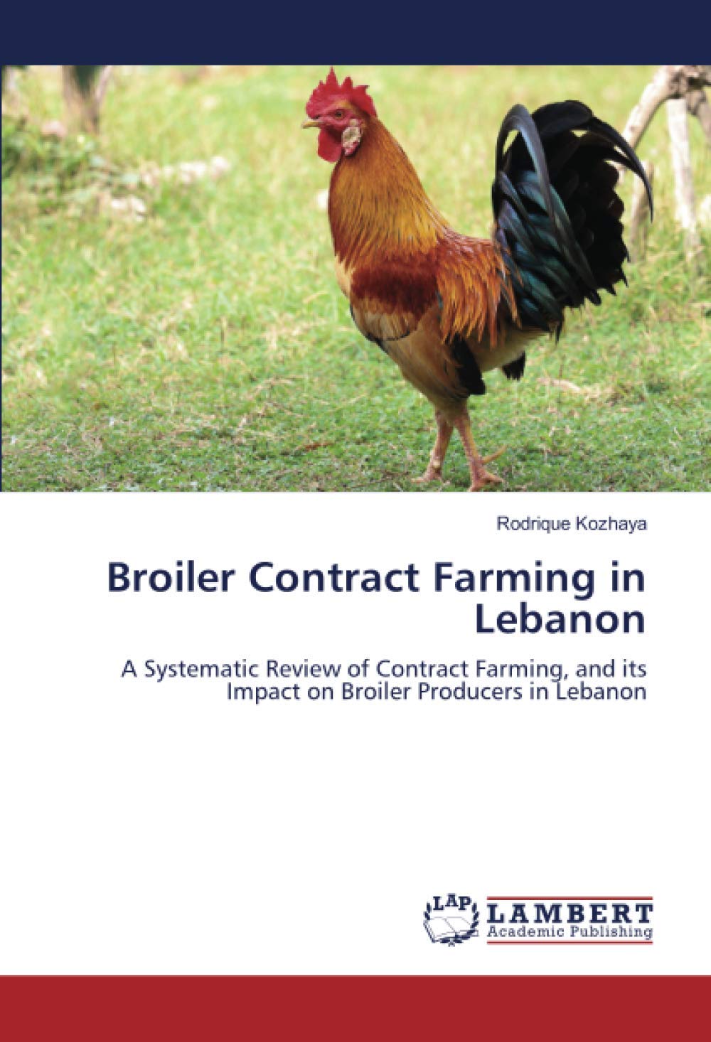Broiler Contract Farming in Lebanon: A Systematic Review of Contract ...