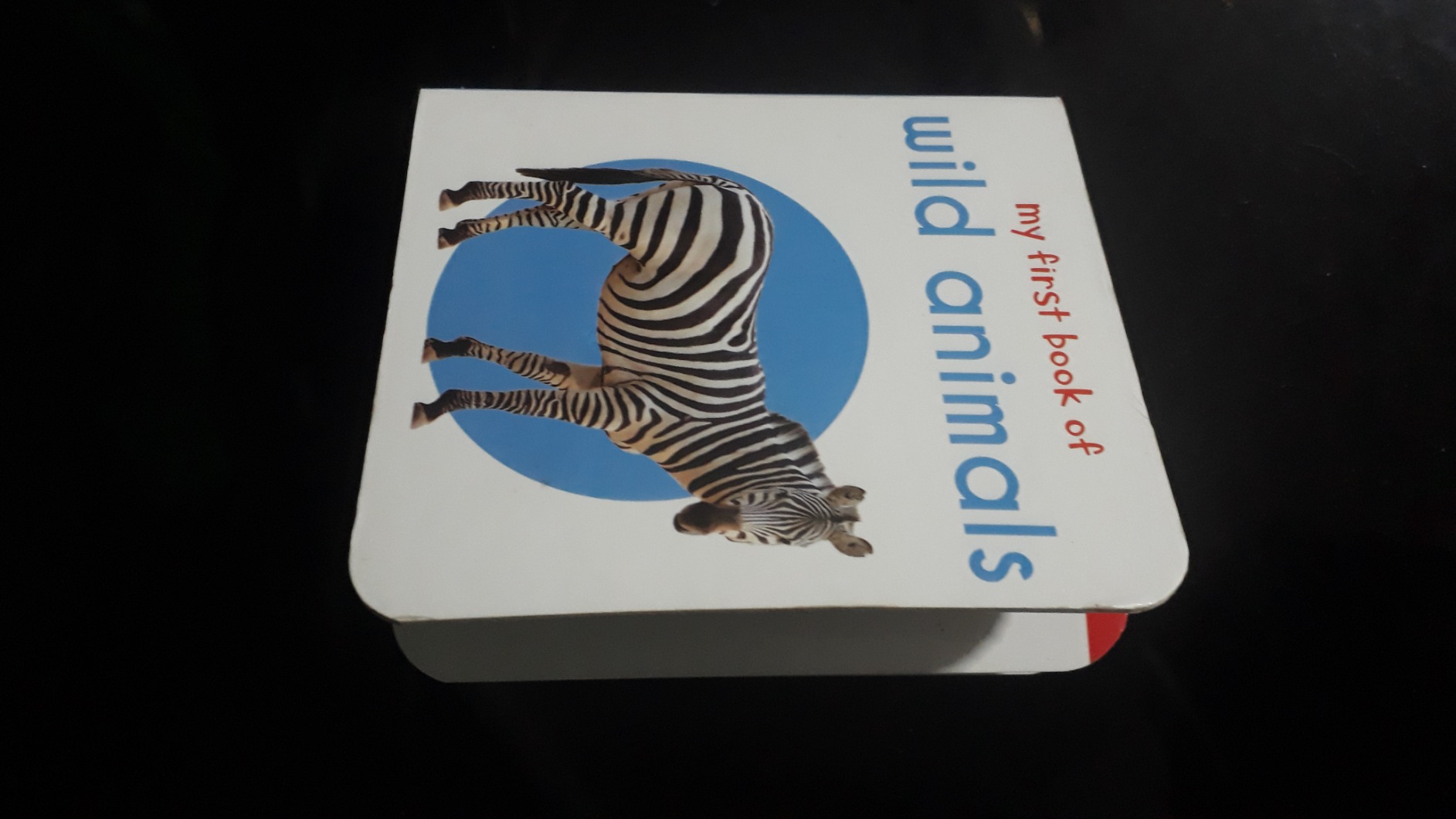 My First Book of Wild Animals: First Board Book : Wonder House Books ...