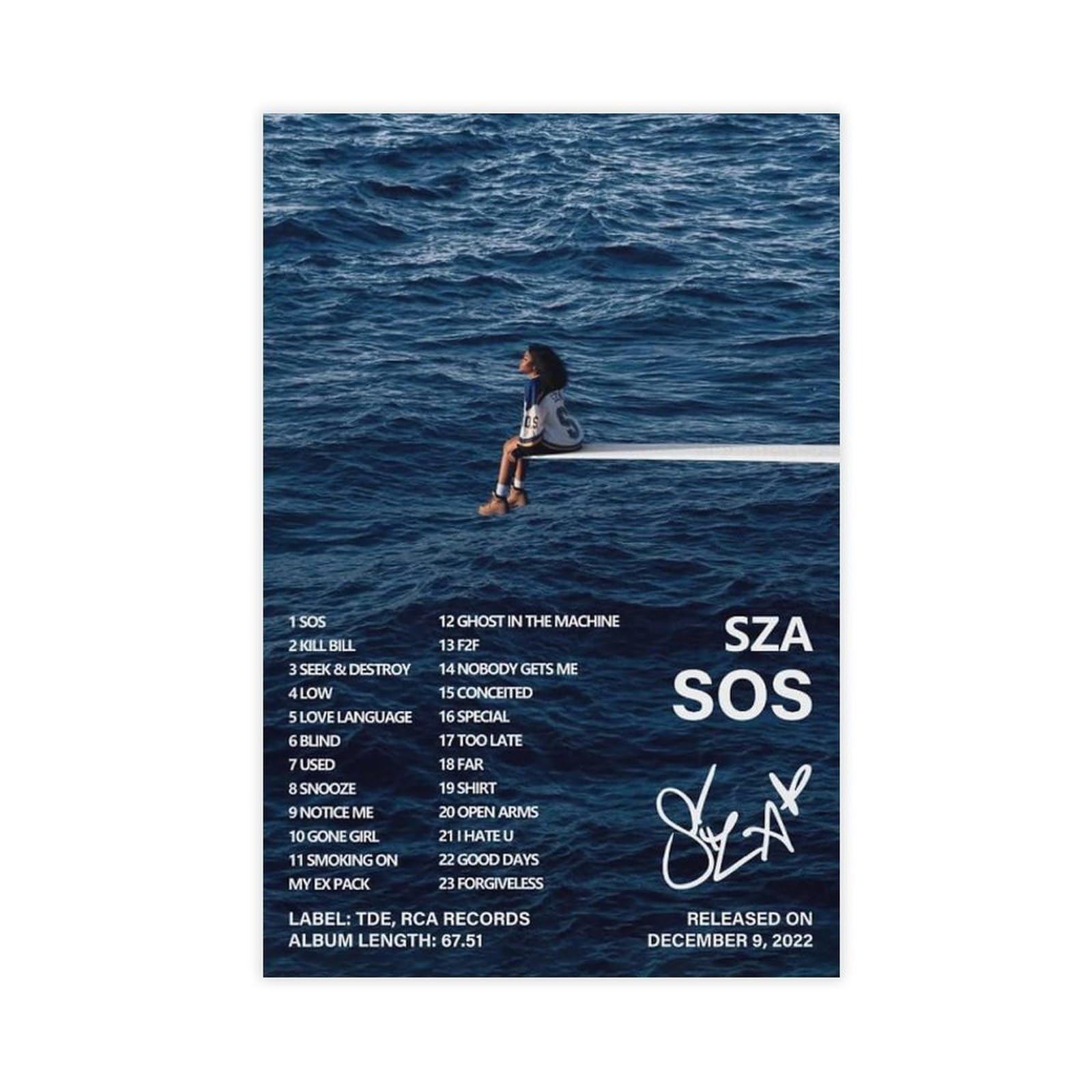 Amazon.com: TVNUWOZ SZA Poster SOS Music Album Cover Canvas Poster ...