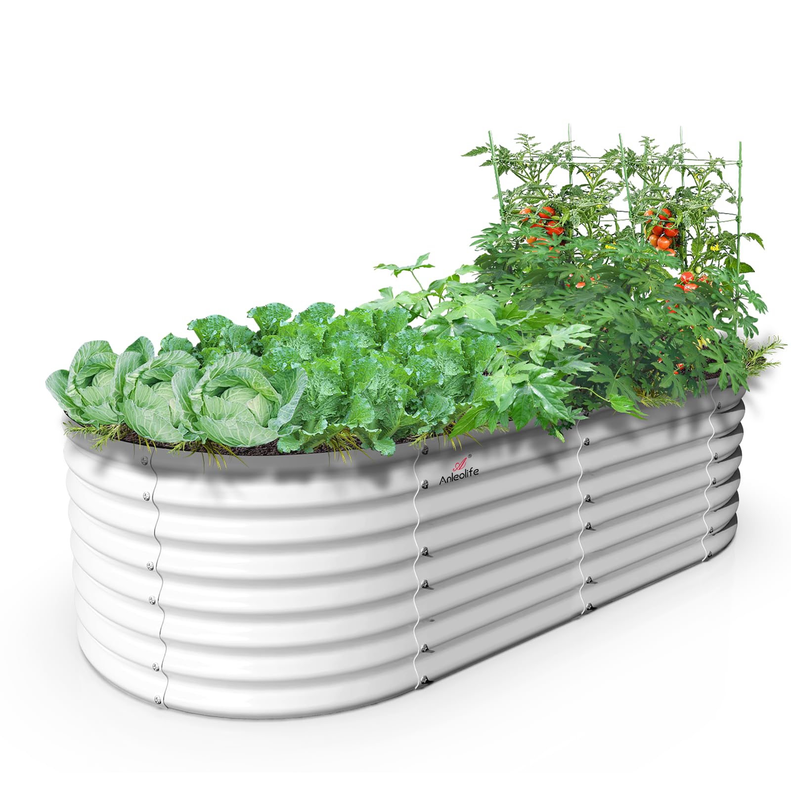 A ANLEOLIFE 6X3X2 ft Galvanized Raised Garden Beds Outdoor, Oval Large ...