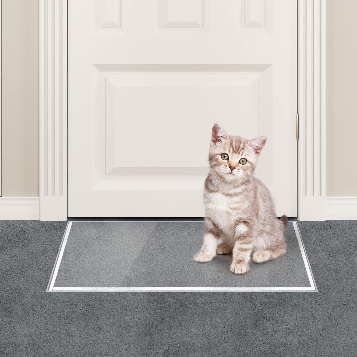Amazon.com: Cat Carpet Protector,Heavy Duty Plastic Carpet Scratch ...