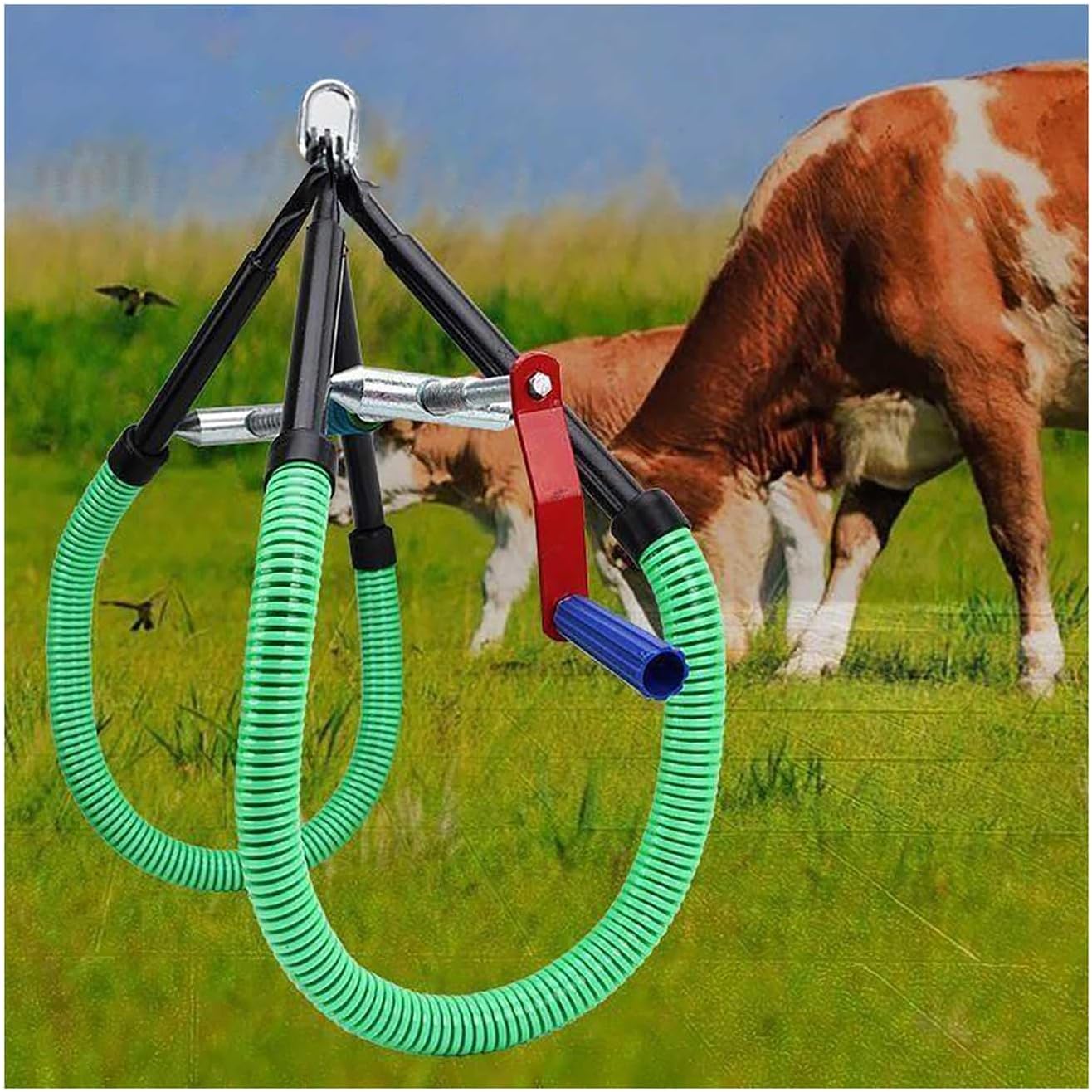 Cow Hip Lift, 2024 Adjustable Cow Hip Clamp, Nepal | Ubuy