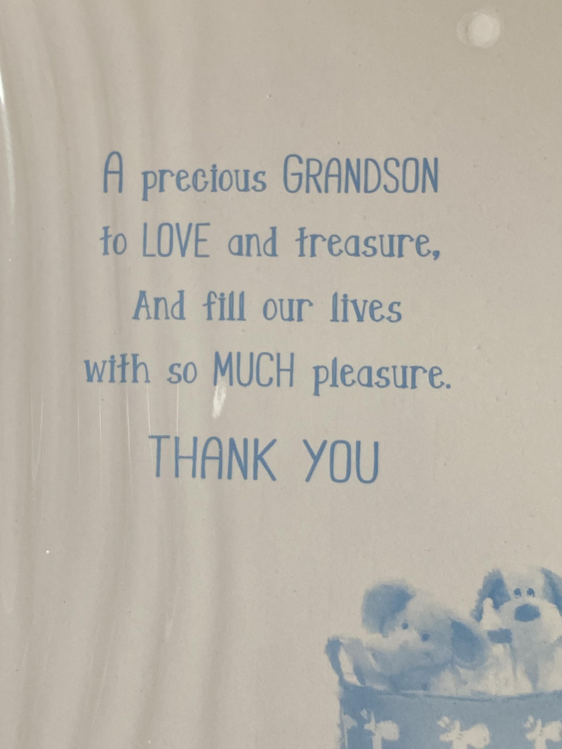 Grandson Birth Announcement Quotes