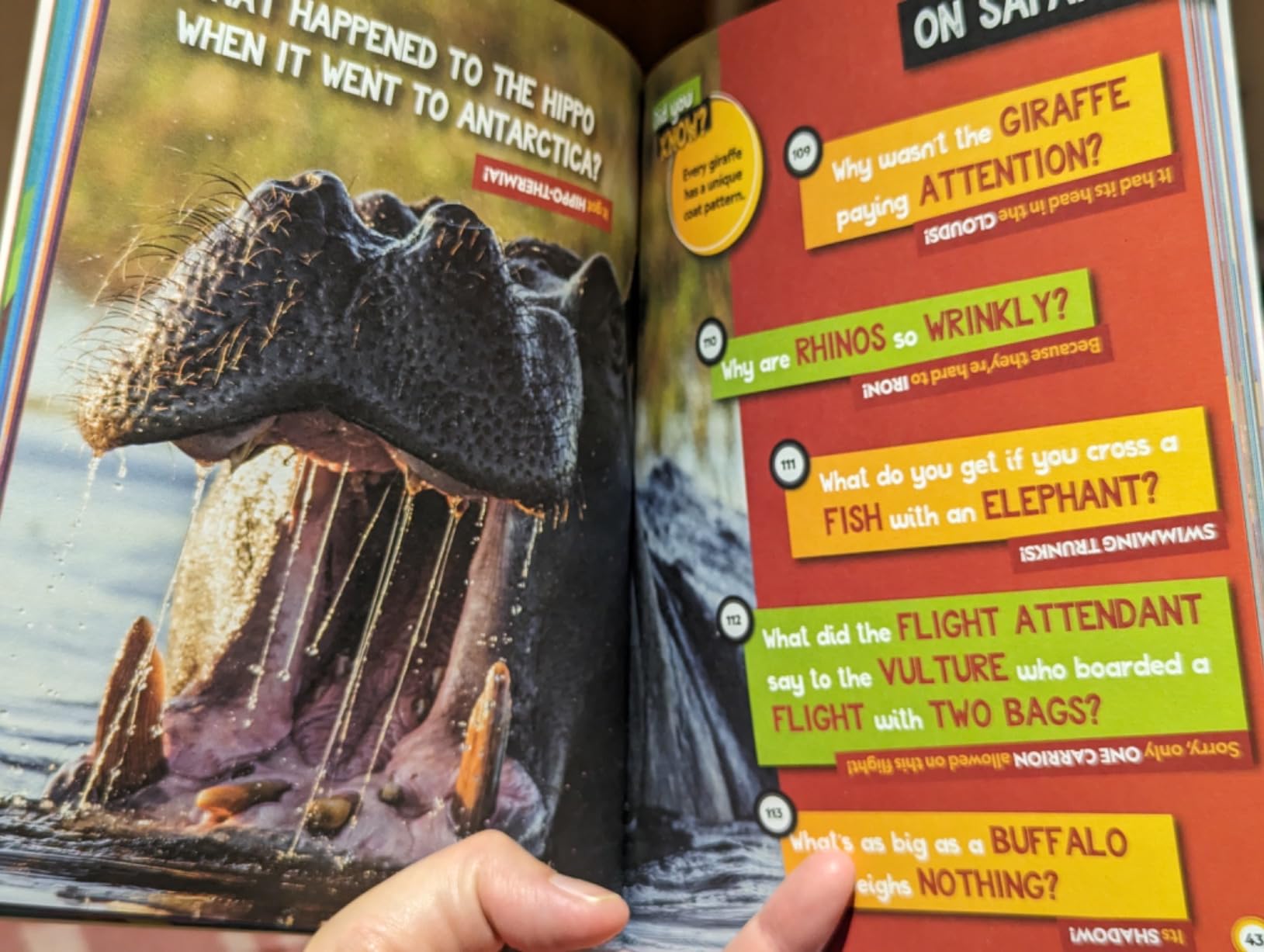 Animals Joke Book: 300 Laugh-out-loud jokes (National Geographic Kids ...