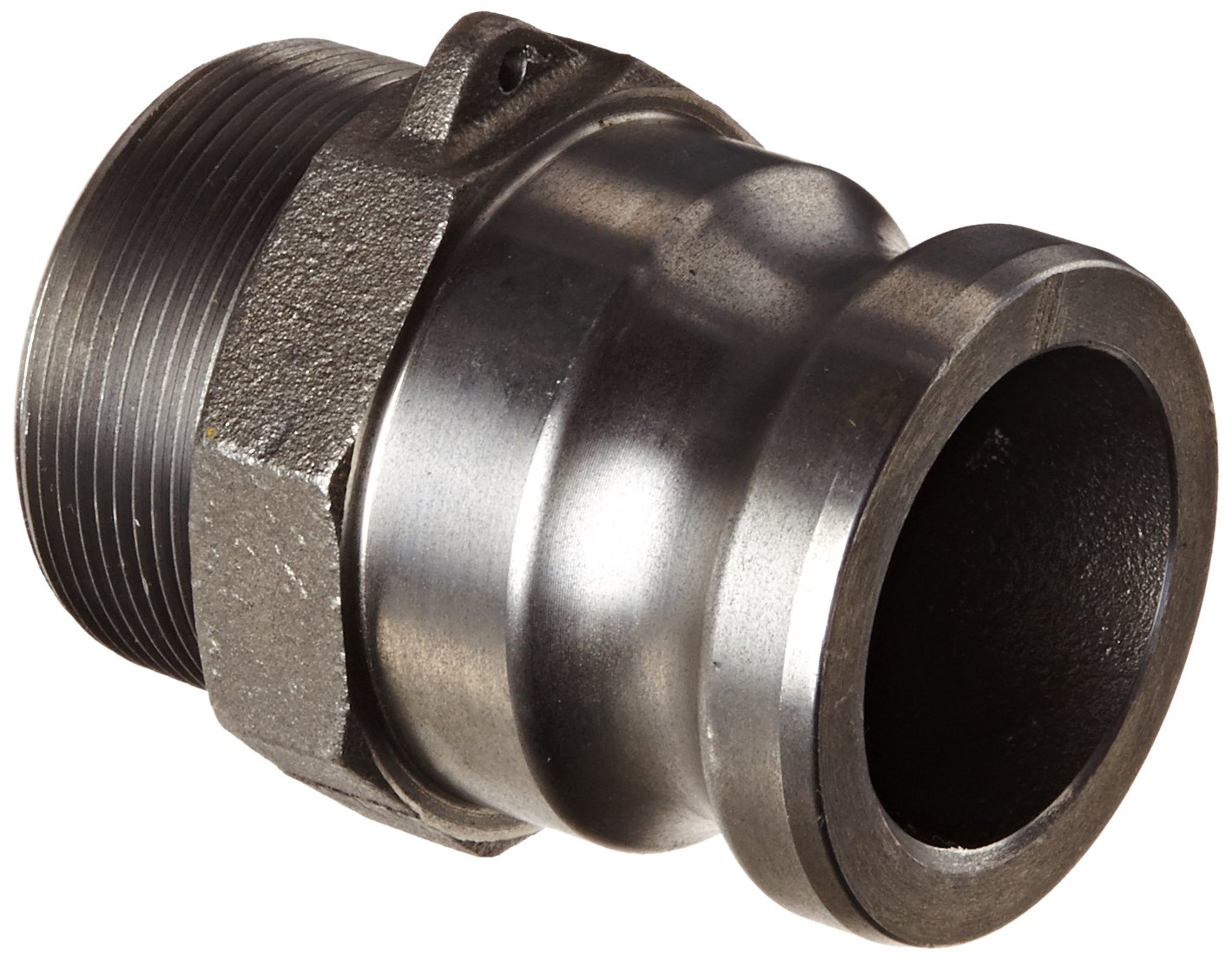 Dixon 200-F-MI Unplated Iron Boss-Lock Type F Cam and Groove Hose ...