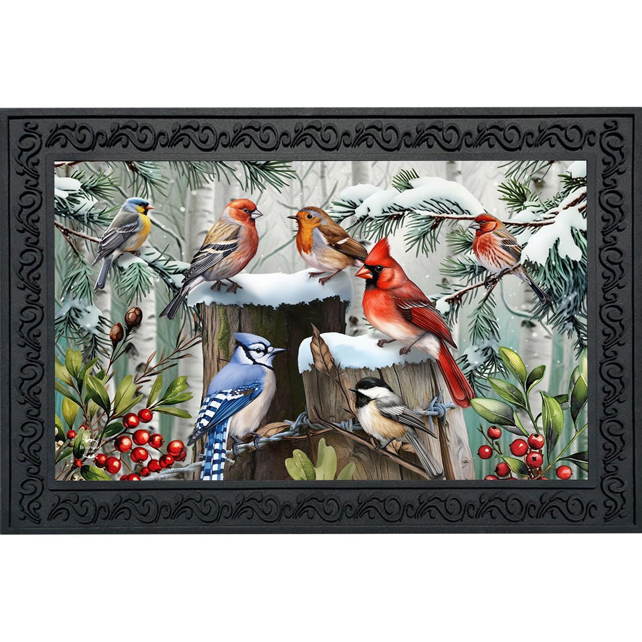 Amazon.com: Briarwood Lane Winter Woodland Birds Doormat : Patio, Lawn ...