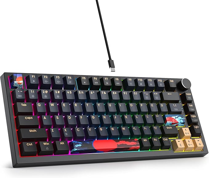 SOLIDEE Wired Mechanical Gaming Keyboard 75%, Hot-swappable Mechanical ...