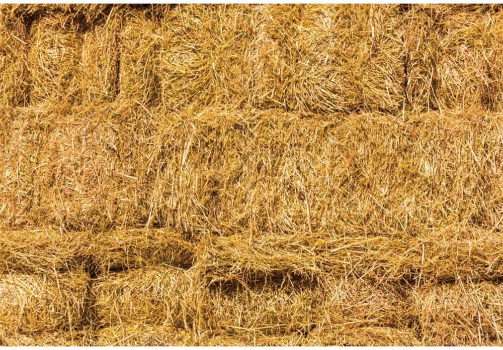 Amazon.com : DORCEV Polyester Straw Hay Bales Backdrop Autumn Harvest ...