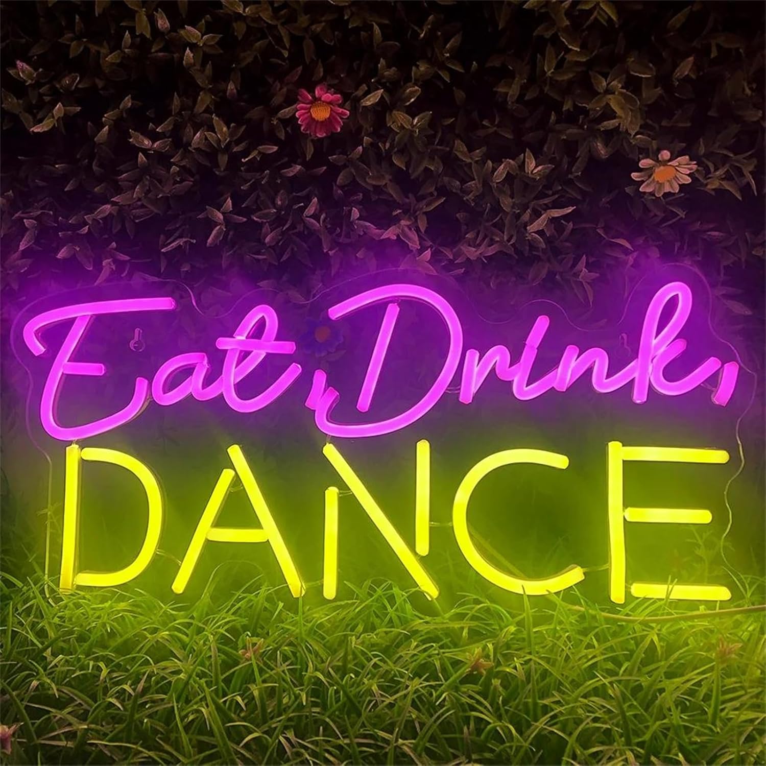 Amazon.com: FINOTI A,Lets Dance Neon Sign LED Lamps Garden Birthday ...