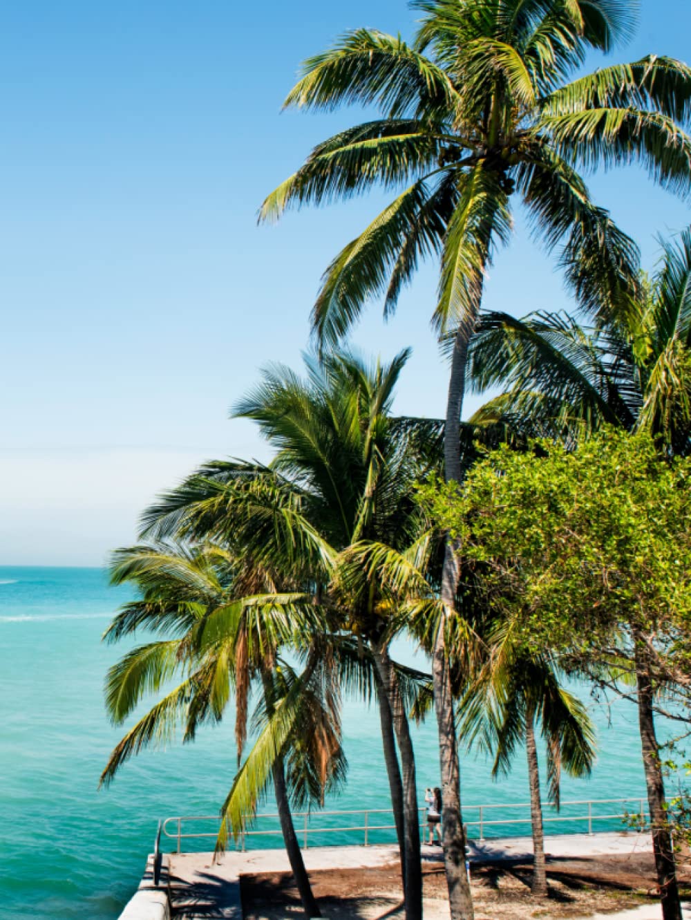 Florida Keys: Florida Coffee Table Books Hardcover (Travel Series ...