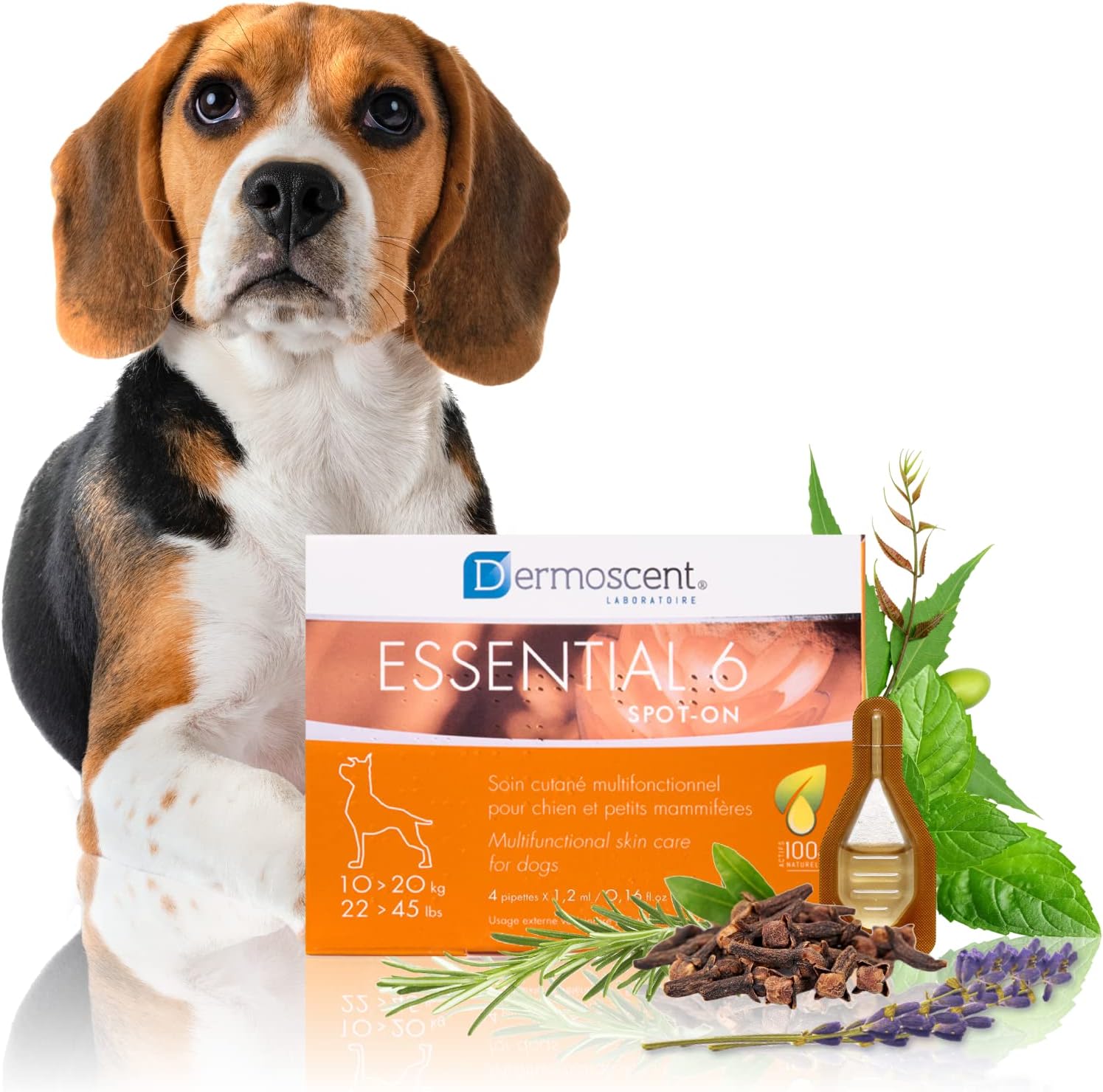 Dermoscent Essential 6 Spot-On - Dog Itchy Skin Relief - Dandruff ...