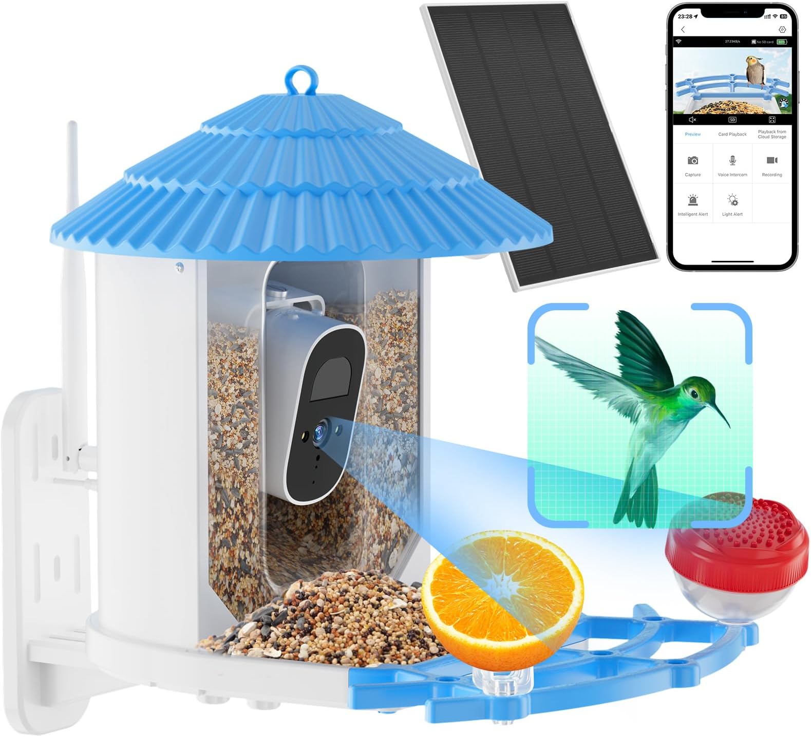 Amazon.com : ViviVault-Innovate Bird Watching with Our Smart Bird ...