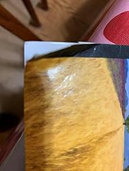 Understanding Exposure, 3rd Edition: How to Shoot Great Photographs with Any Camera: Peterson ...