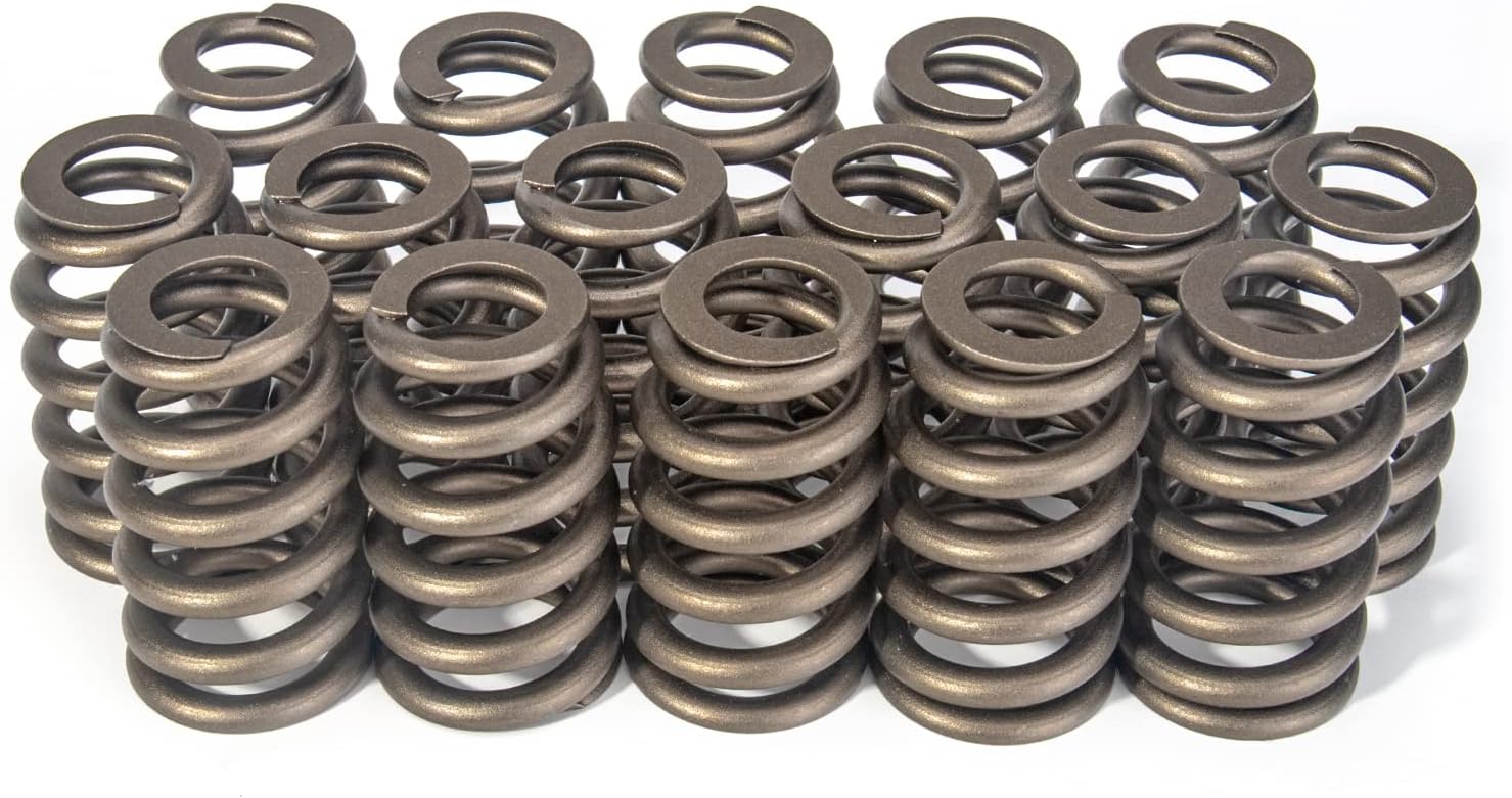 Amazon.com: Nakkaa Drop-In Beehive Valve Spring Kit 1218 PAC-1218 ...