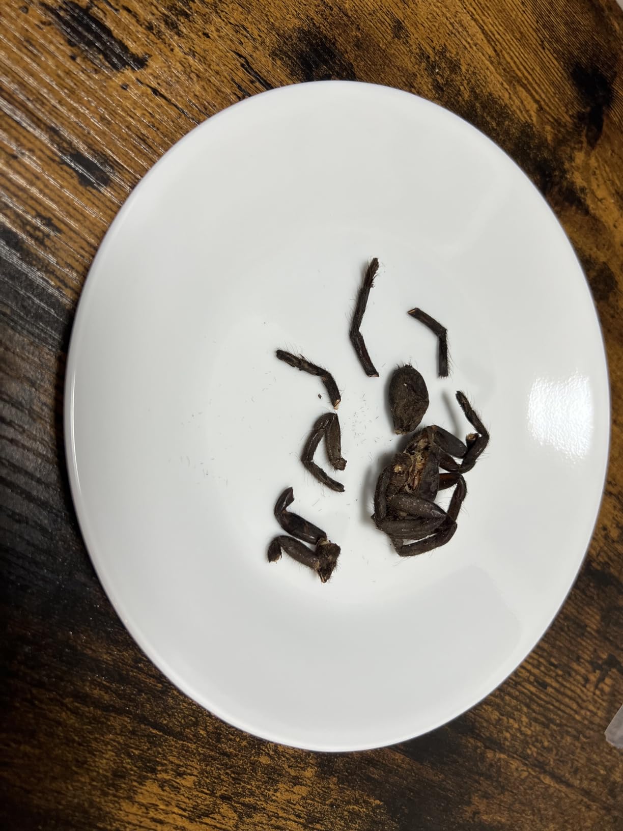 Amazon.co.jp: TAKEO Tarantula : Food, Beverages & Alcohol