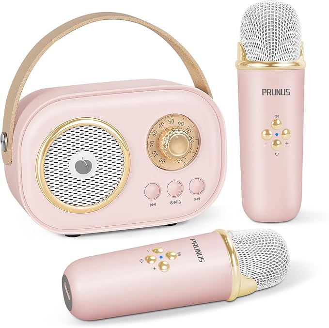 Amazon.com: PRUNUS C20 Mini Karaoke Machine Portable Bluetooth Speaker ...