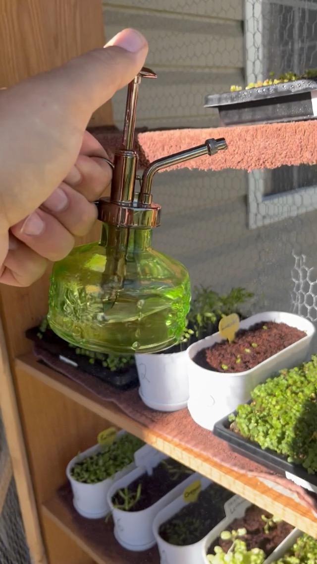 Watch The coolest indoor growing gear comes from Amazon! on Amazon Live