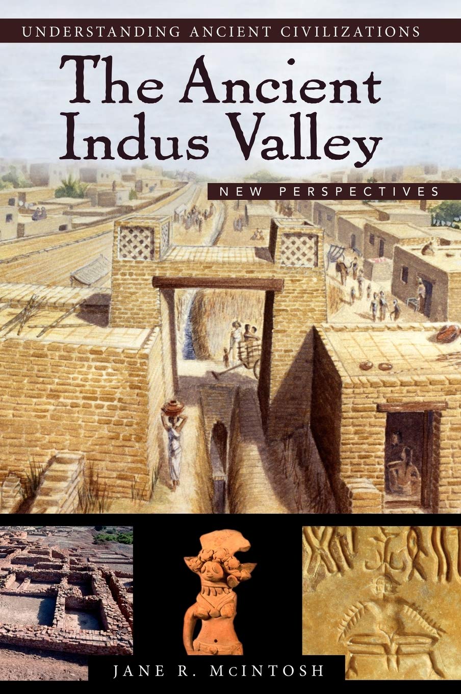 Amazon.com: The Ancient Indus Valley: New Perspectives (Understanding ...