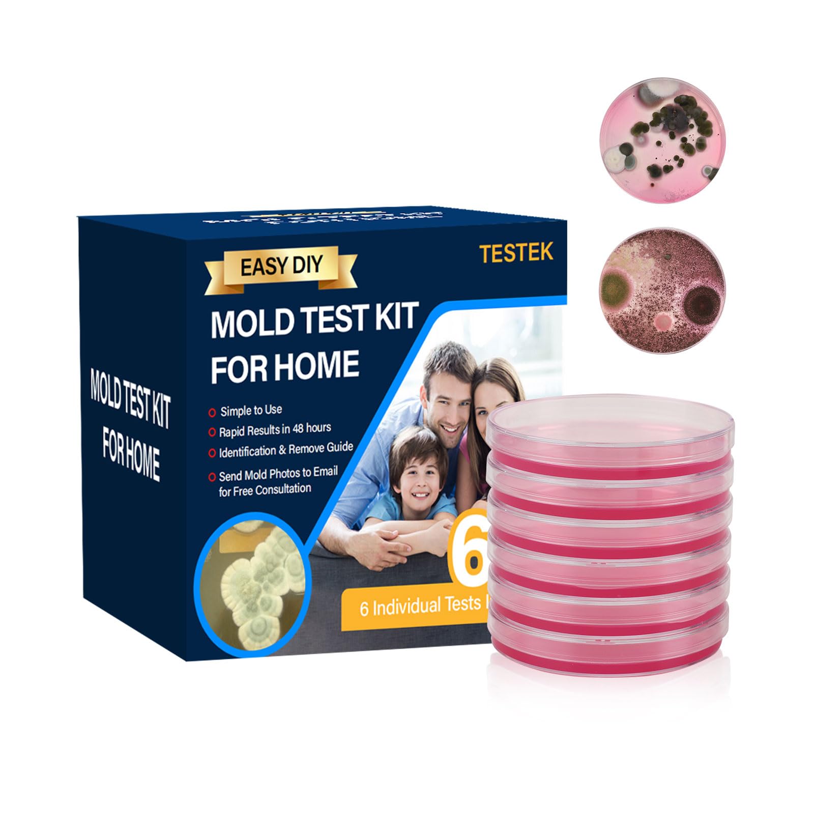 Amazon.com: Mold Test Kit for Home - 6 Individual Detection Tests,Home ...