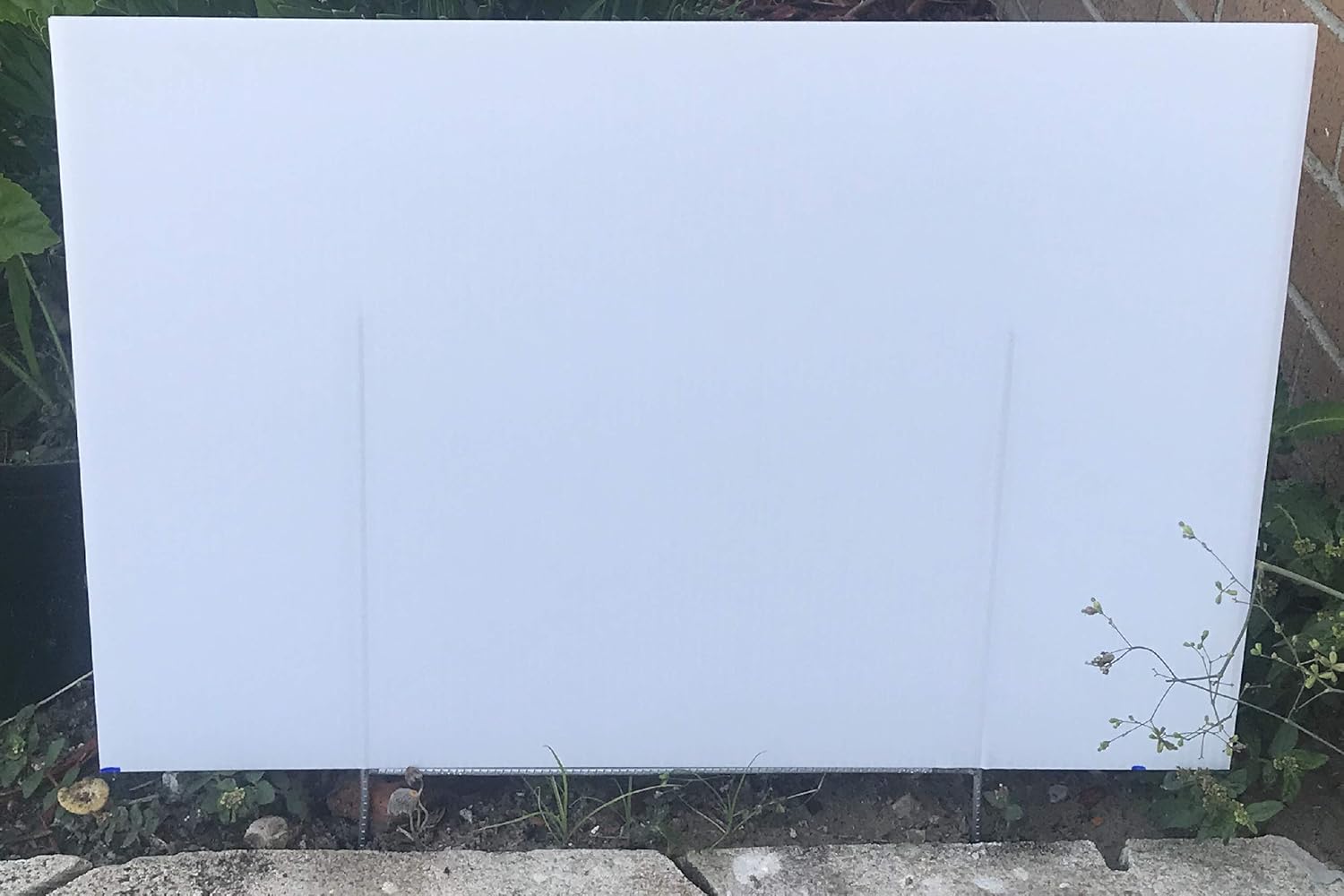 Amazon.com : 5 White Blank Sign 18x24 inch x 4 mm Corrugated Plastic ...