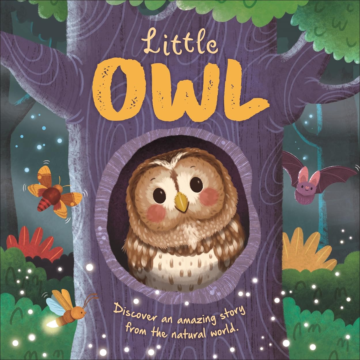 Little Owl (An illustrated story about the life-cycle of an owl ...