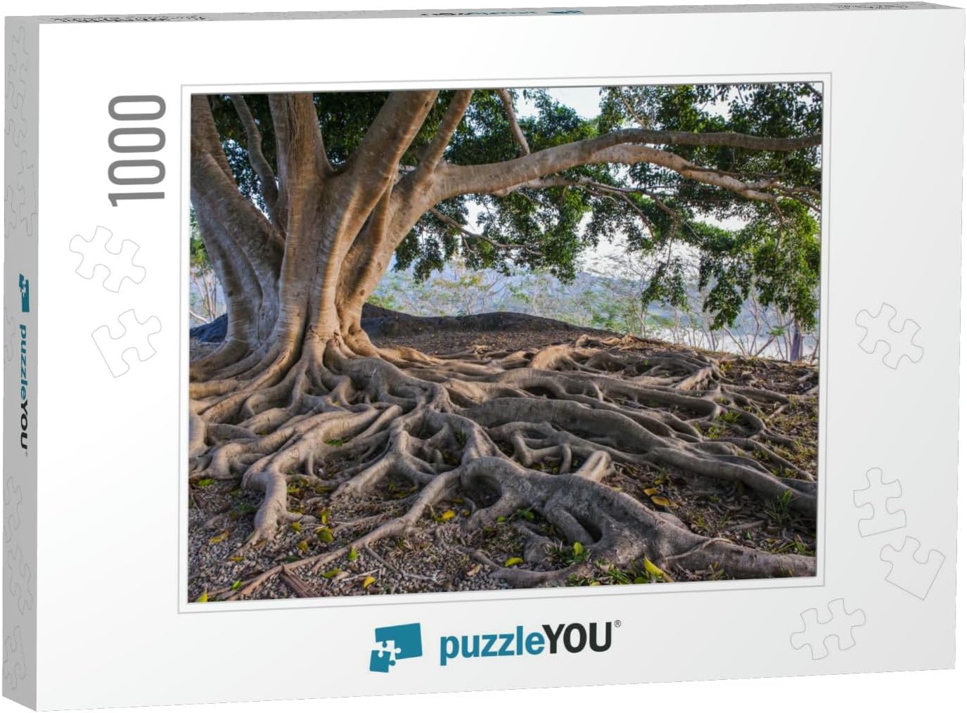 Amazon.com: Big Tree Root... Jigsaw Puzzle Jigsaw Puzzle with 1000 ...