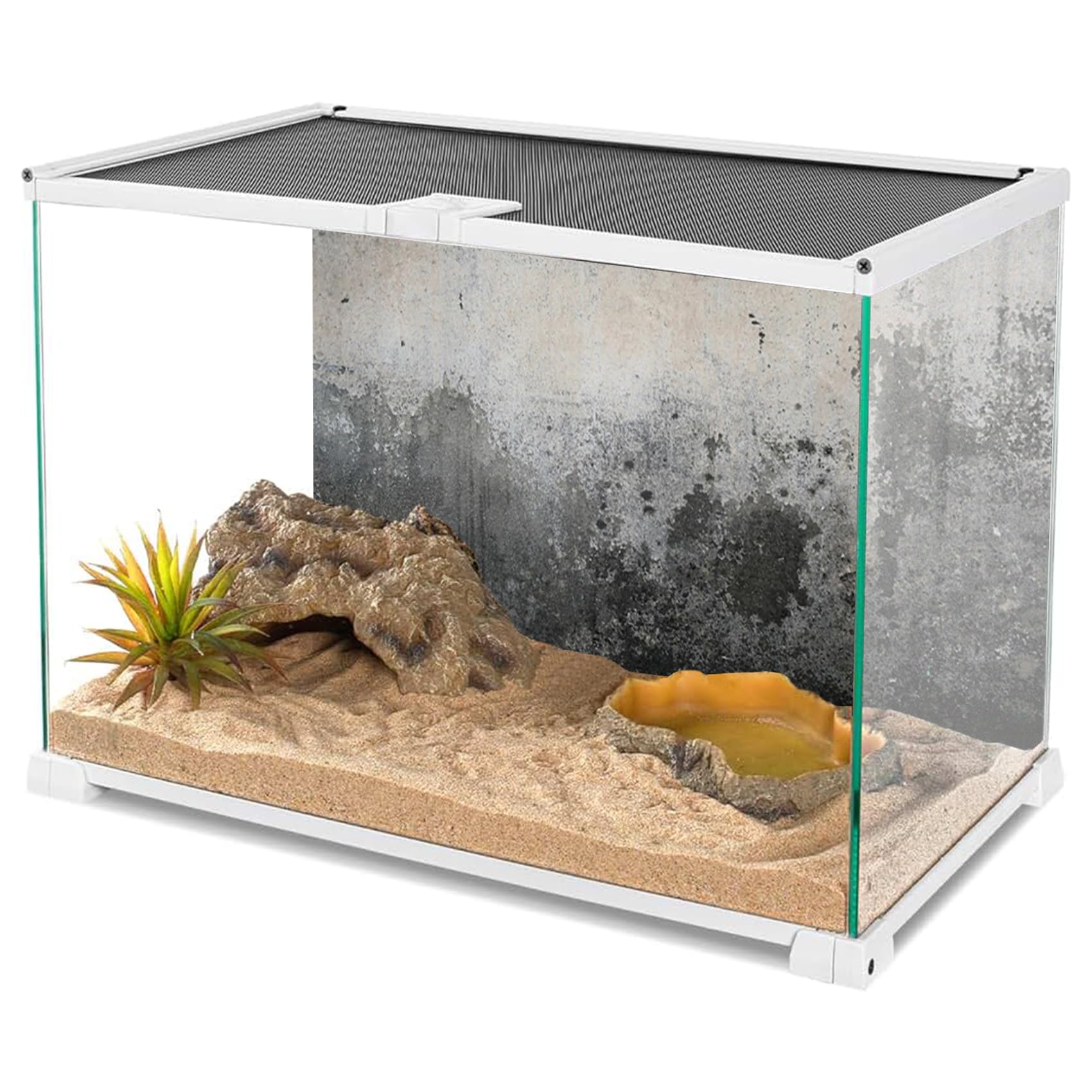 Snapklik.com : Reptile Terrarium Background 48x18 Inch Reptile Tank ...