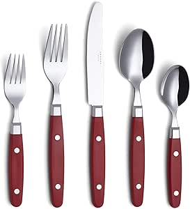 Amazon.com | ANNOVA Silverware Set Stainless Steel Cutlery Color Handle ...