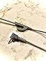 Amazon.com : Taylor Precision Replacement Thermometer Probe : Kitchen ...