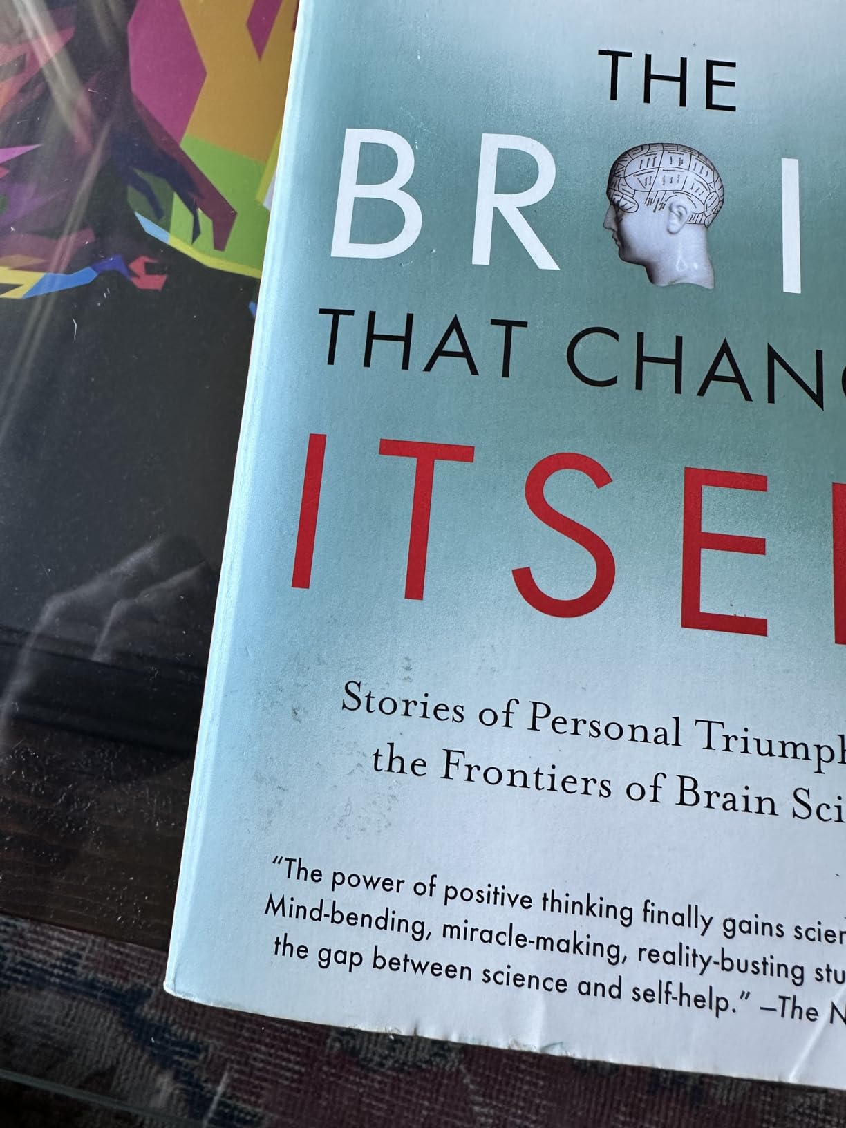 The Brain That Changes Itself: Stories of Personal Triumph from the ...