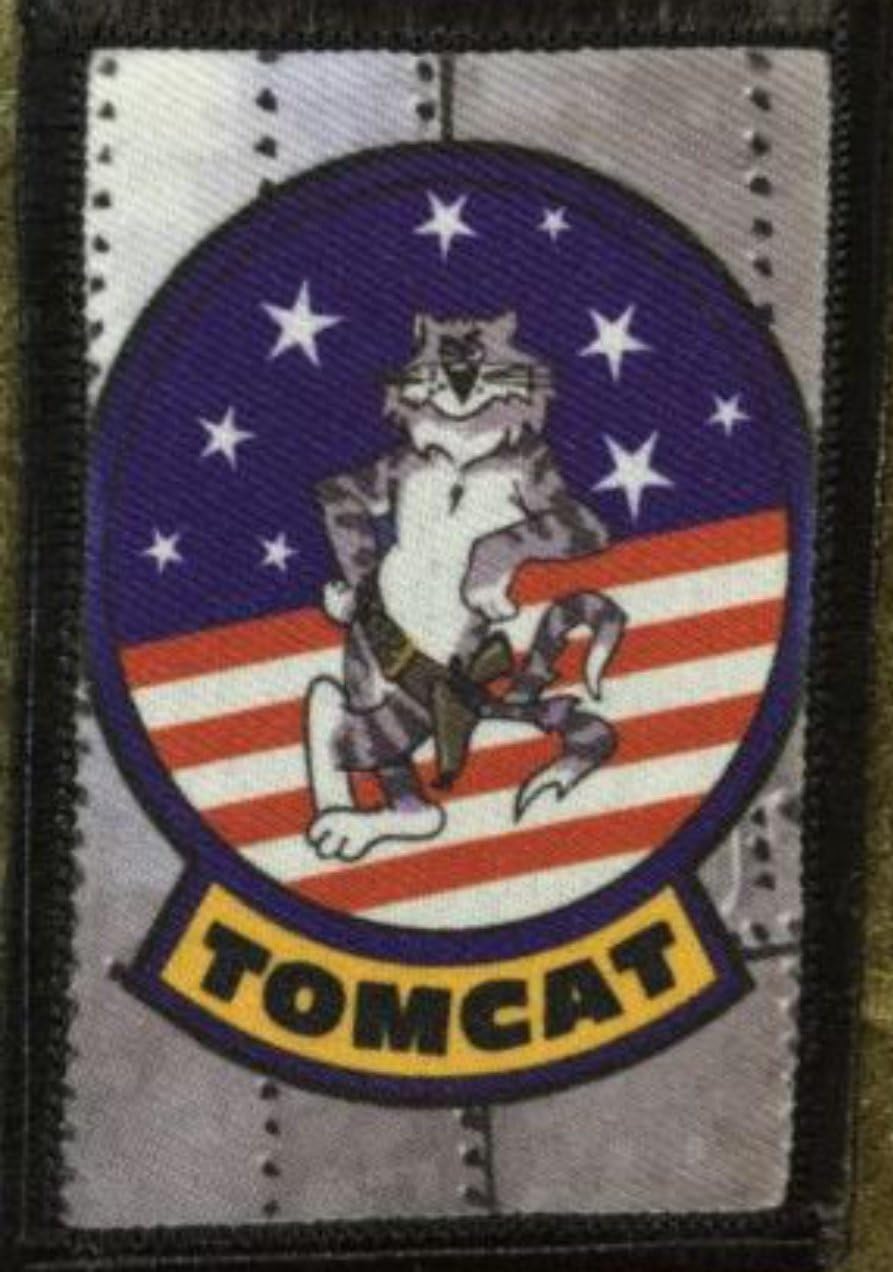 Amazon.com: RedheadedTshirts - F14 Tomcat Mascot Morale Patch. Perfect ...