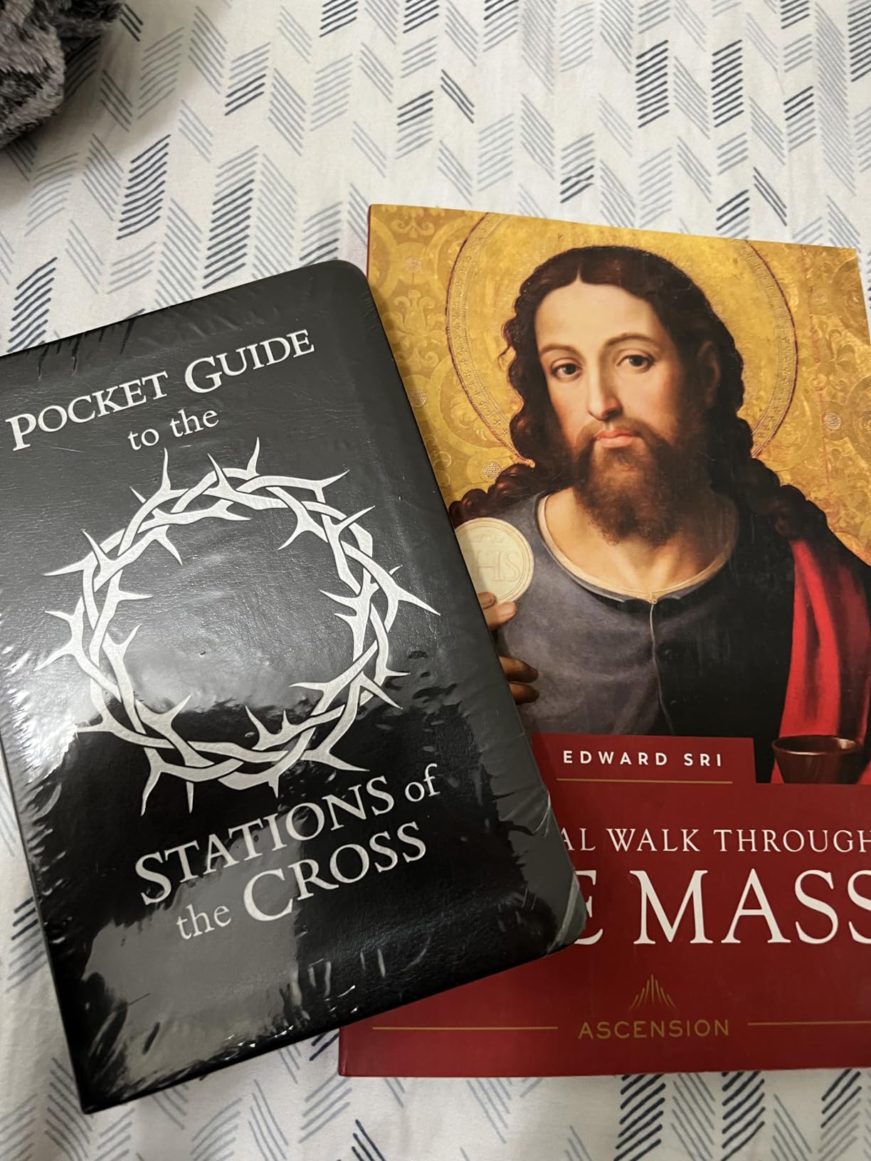 A Biblical Walk Through The Mass: Understanding What We Say And Do In ...
