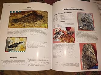 Paleozoic Fossils (Schiffer Book for Collectors): Stinchcomb, Bruce L ...