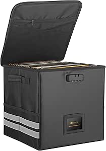 Amazon.com: Neoteck Vinyl Record Storage Box with Lock Holds Up to 62 ...