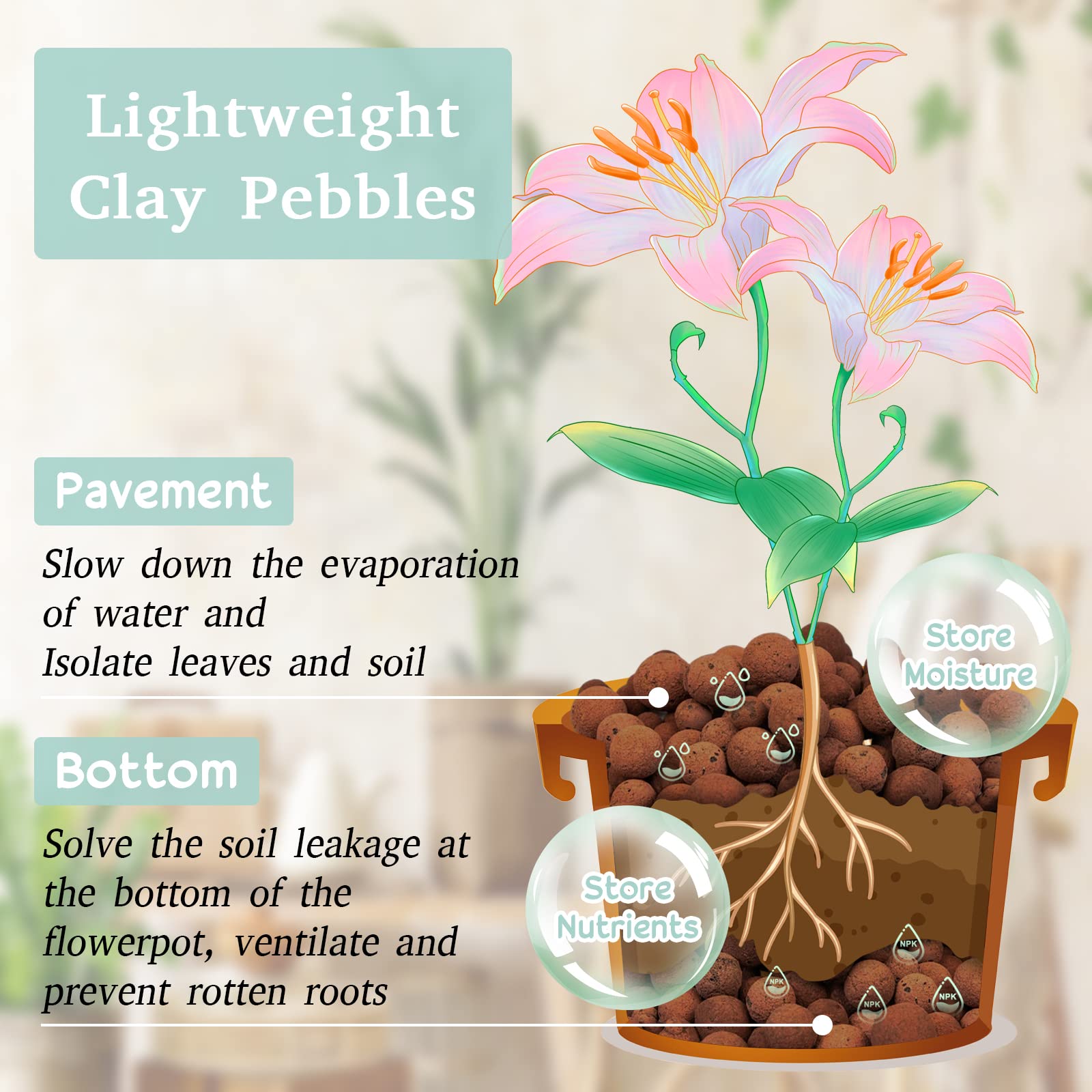 Snapklik.com : 6 LB Organic Leca Clay Pebbles For Plants, 4mm-16mm 100% ...