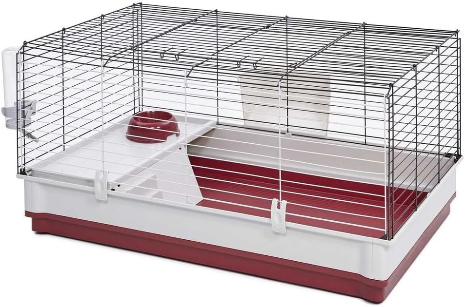 Amazon.com : Kaytee My First Home Habitat for Pet Guinea Pigs, Dwarf ...