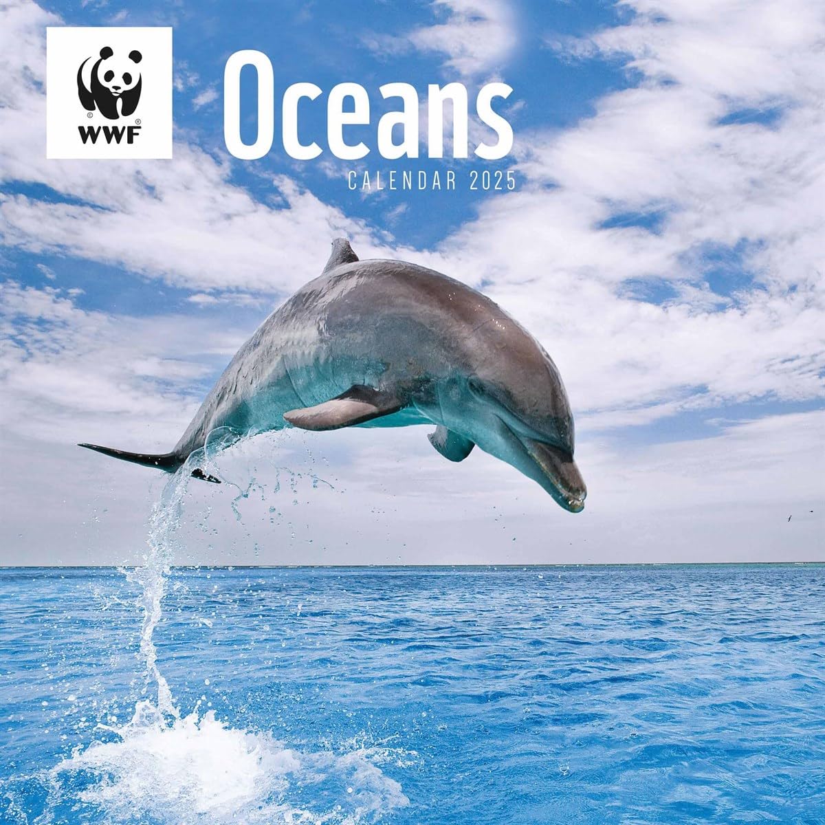 WWF Oceans Wall Calendar 2025 (PFP) : Amazon.in: Office Products