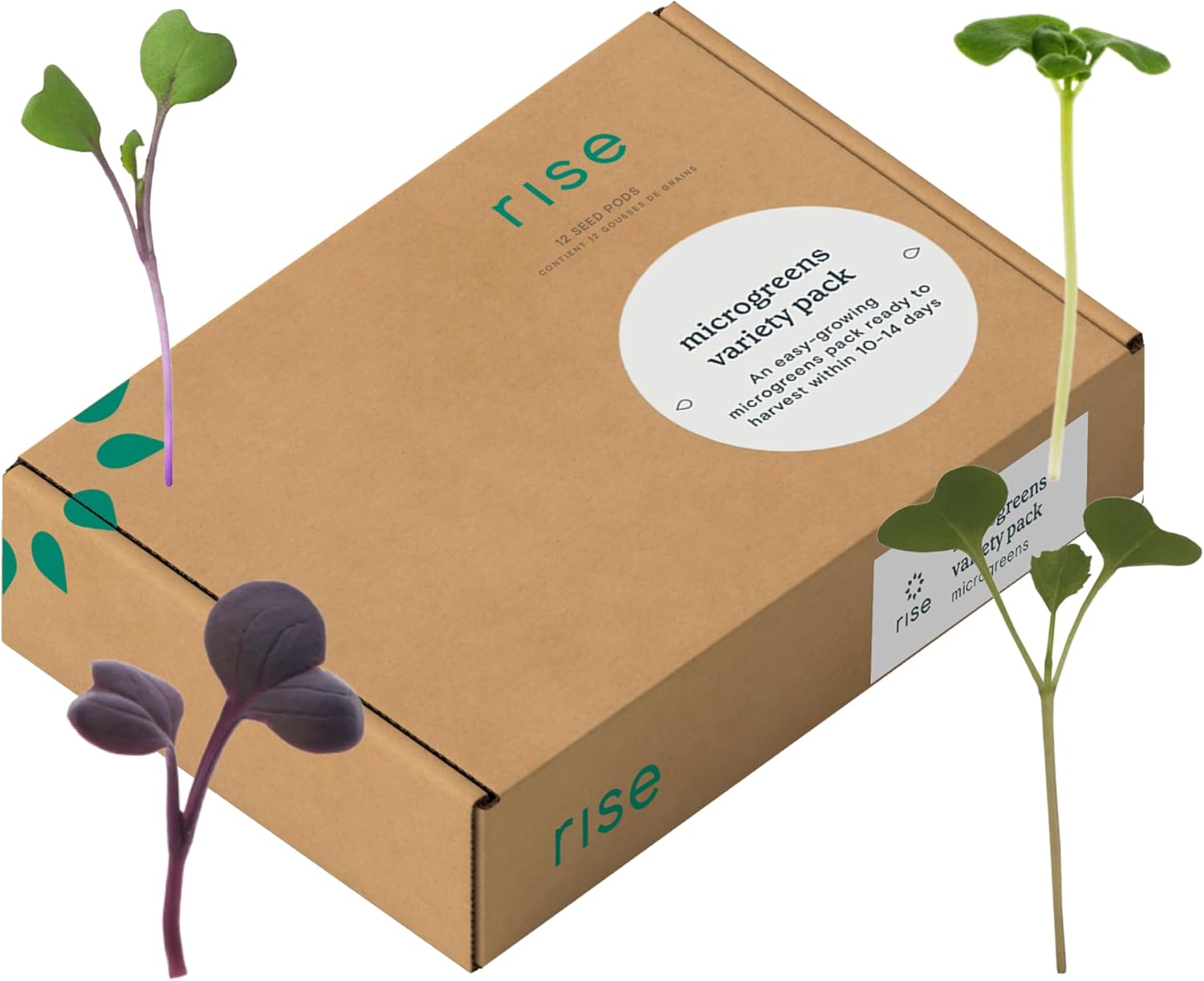 Amazon.com : Rise Gardens Microgreens Variety Pack Pod Kit, Microgreen ...
