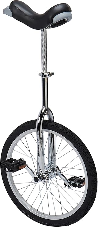 Amazon.com : Fun 20 Inch Wheel Chrome Unicycle with Alloy Rim : Sports ...