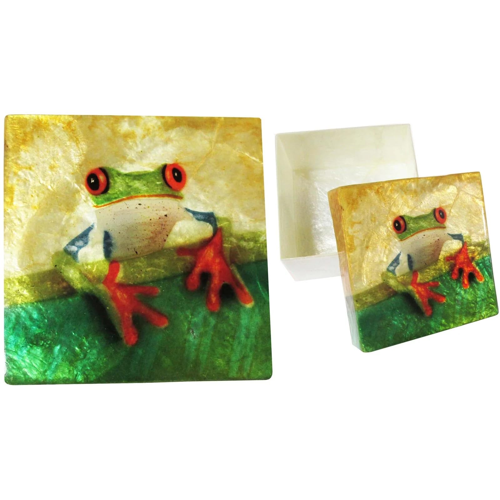 Amazon.com: Capiz Shell Trinket Box, 3", Tree Frog : Home & Kitchen