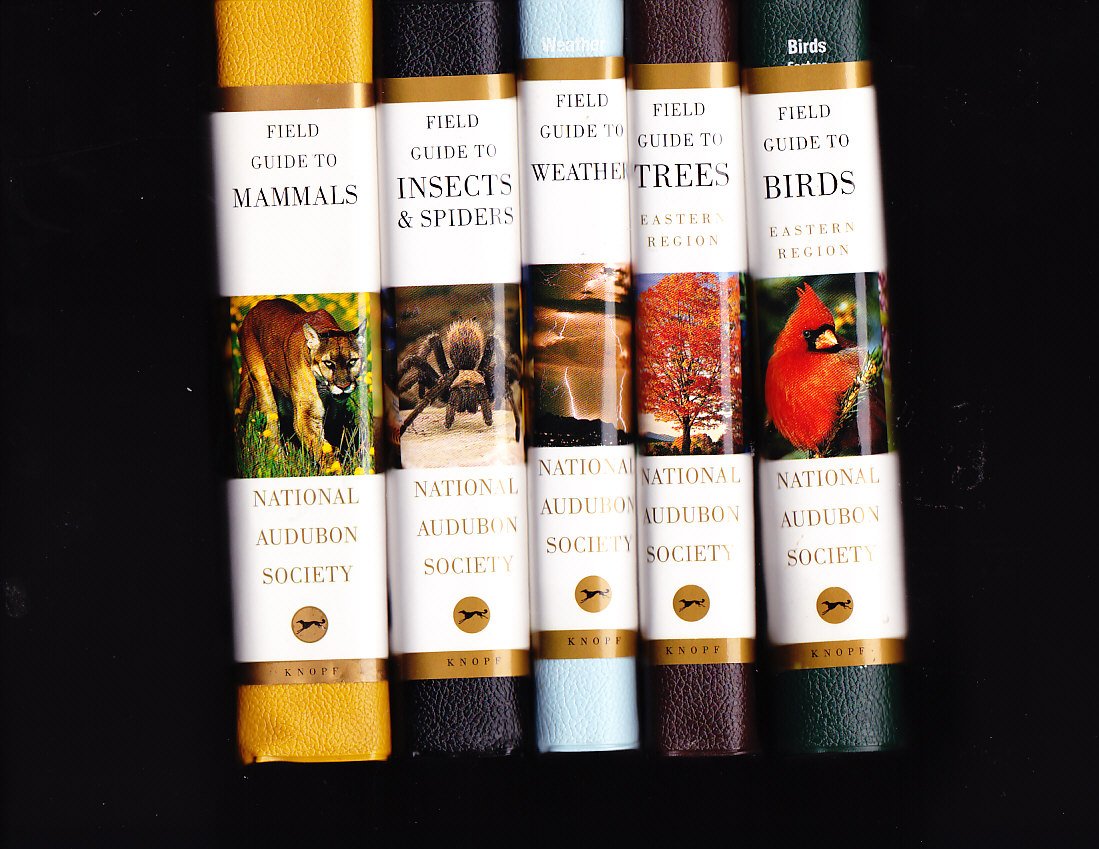 Five-Volume Set of Audubon Society Field Guides: "Mammals"; "Insects ...