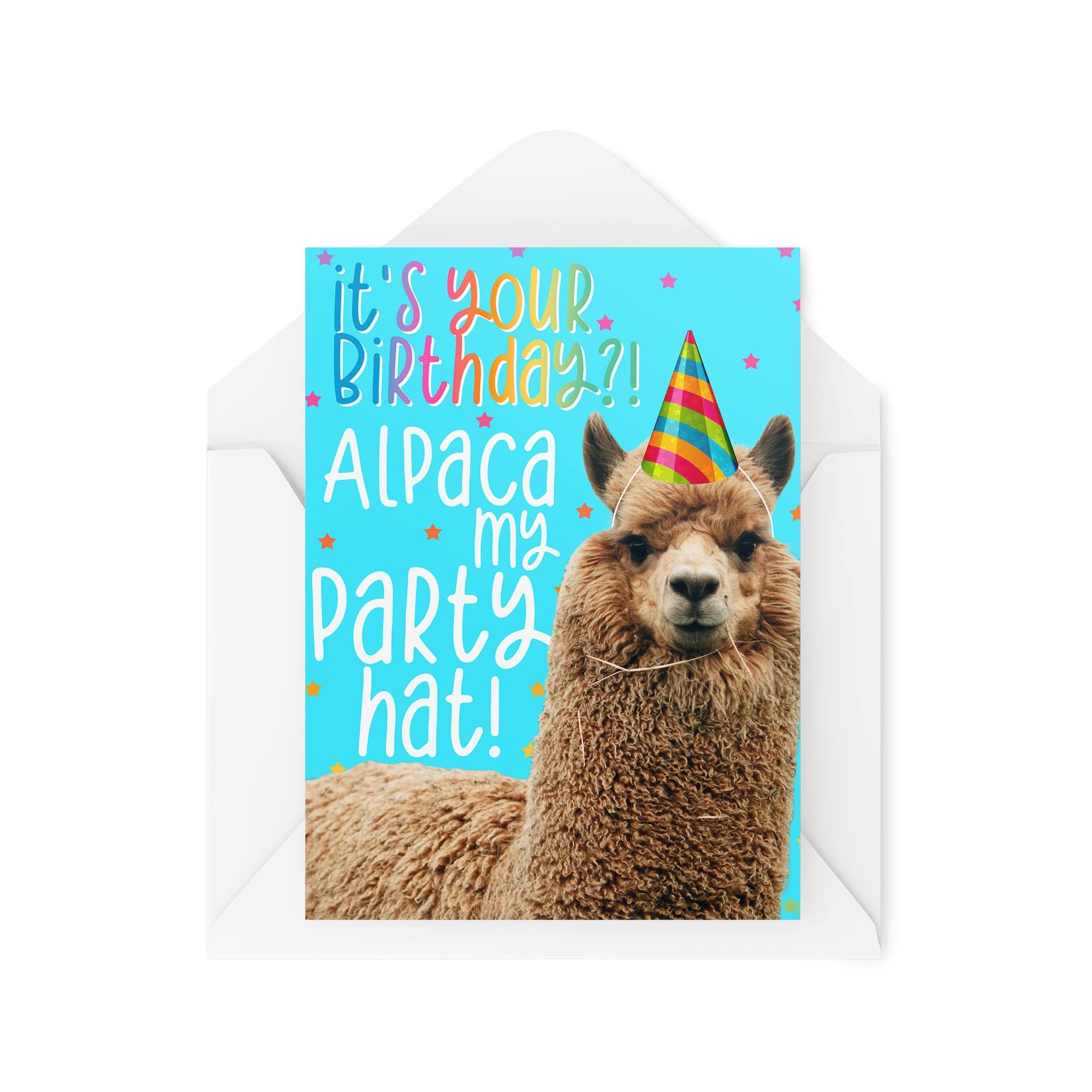 Funny Alpaca Jokes