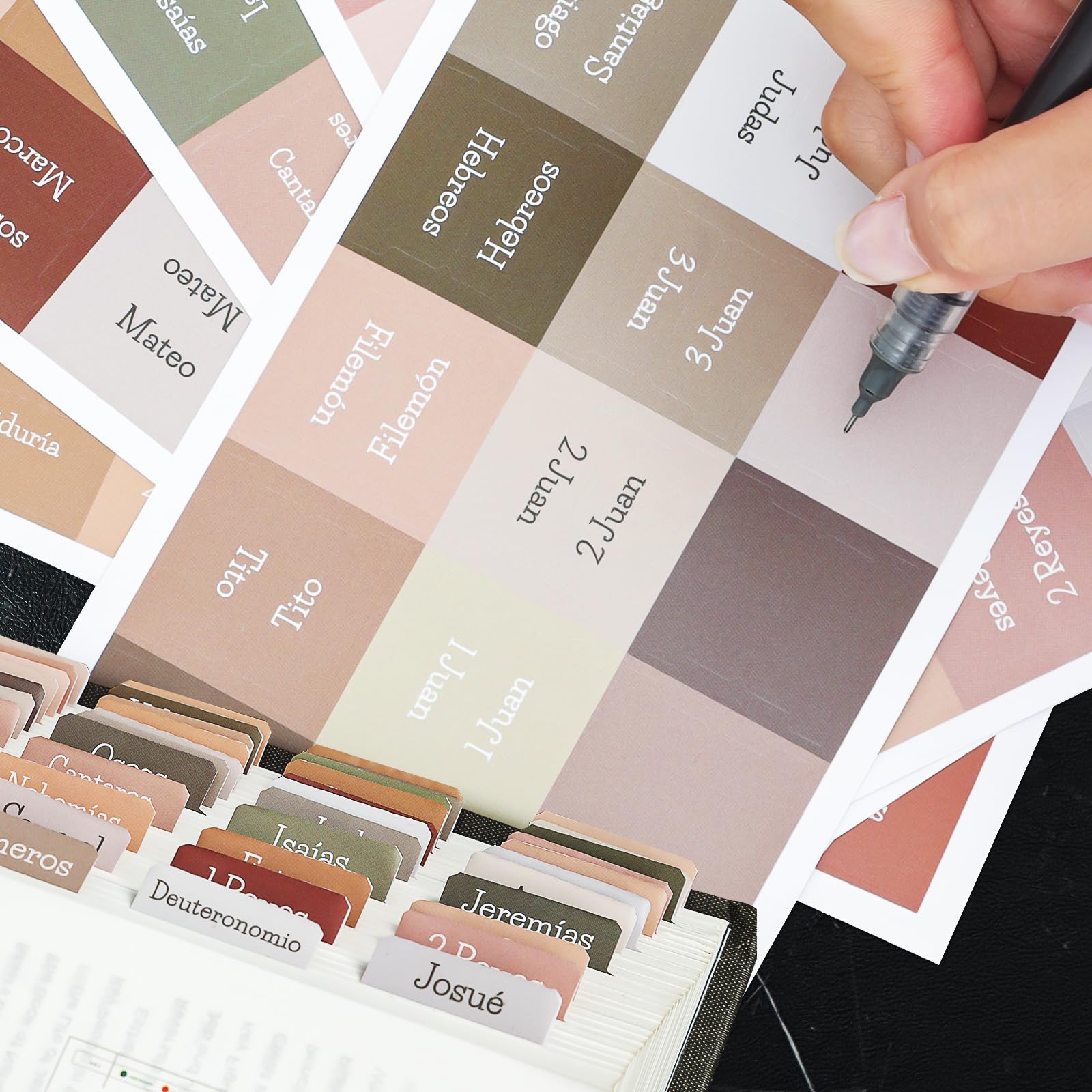 Snapklik.com : Spanish Earth Tone Bible Tabs, Large Print Laminated ...