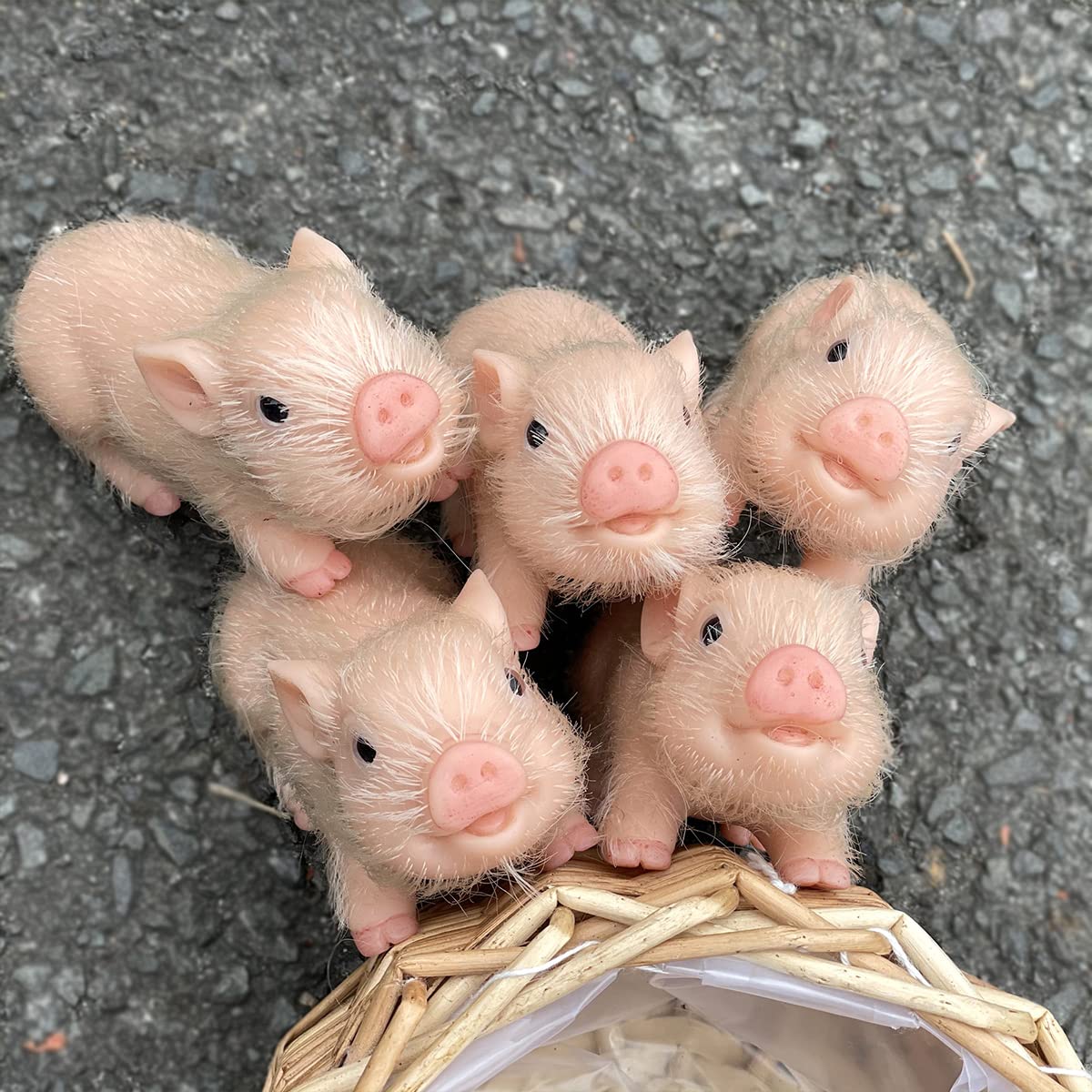 Eummy Pig Best Gift-5 Inch Mi...B09R9NKD7J | Encarguelo.com