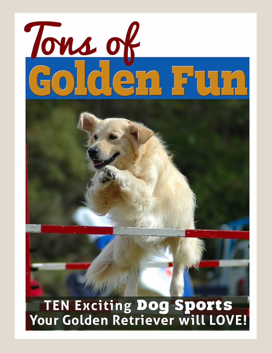 Tons of Golden Fun: Ten Exciting Dog Sports Your Golden Retriever Will ...