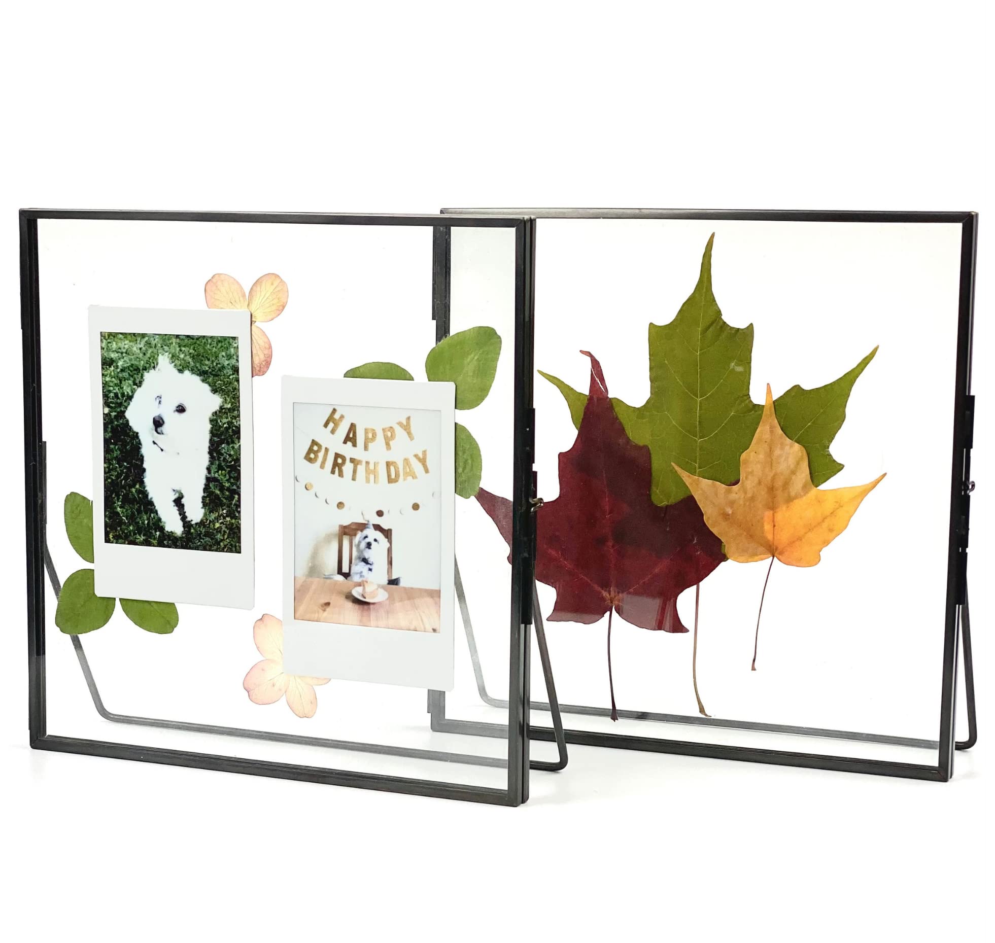 Beedecor Double Glass Frame for Pressed Flowers, Leaf and Artwork ...